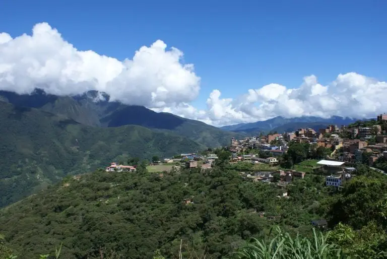 Región Yunga: Yunga Marítima y Yunga Fluvial - Cumbre Pueblos