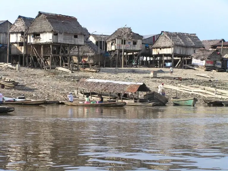 Región Suni: reconocida por su abundante, espectacular y variada flora