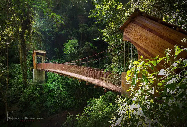 Región Yunga: Yunga Marítima y Yunga Fluvial - Cumbre Pueblos