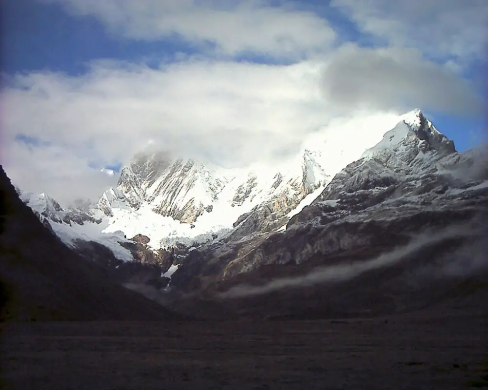 Región Suni: reconocida por su abundante, espectacular y variada flora